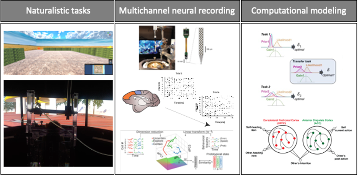 Naturalistic Neuroscience Team > Brain Science Group > Research > ibs