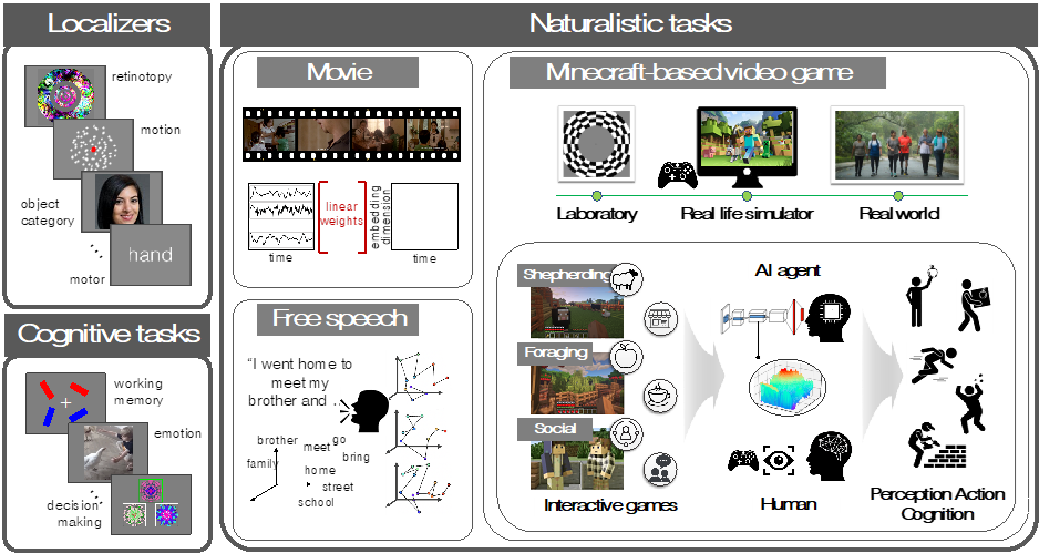 Naturalistic Neuroscience Team > Brain Science Group > Research > ibs